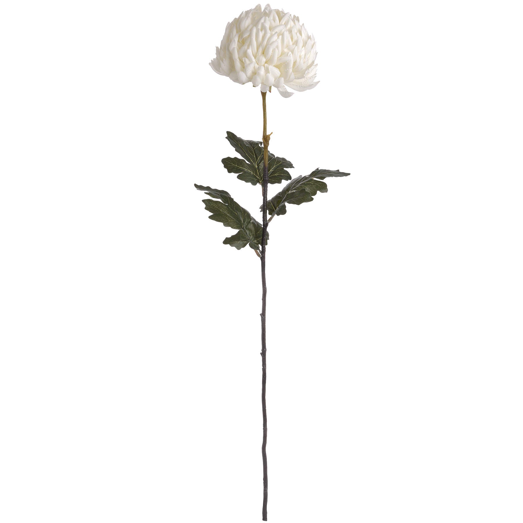 Large White Chrysanthemum | Faux Incurve Stem | Elegant Floral Accent ...